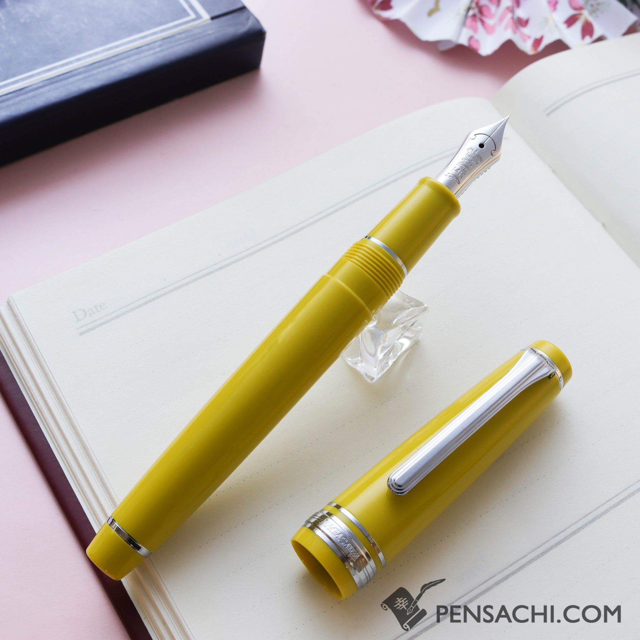 SAILOR Limited Edition Pro Gear Slim Fountain pen - Fresh Green– PenSachi